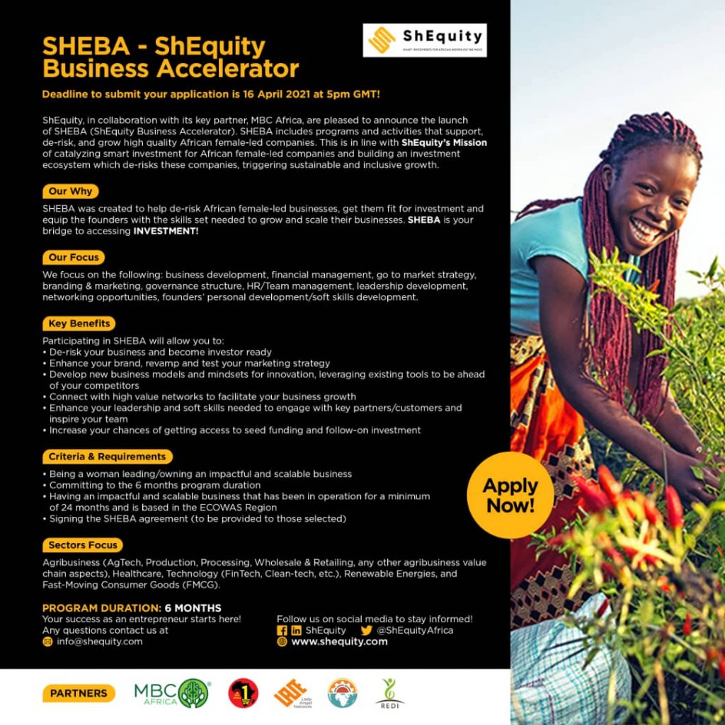 Call for Application: SHEBA -ShEquity Business Accelerator for African ...