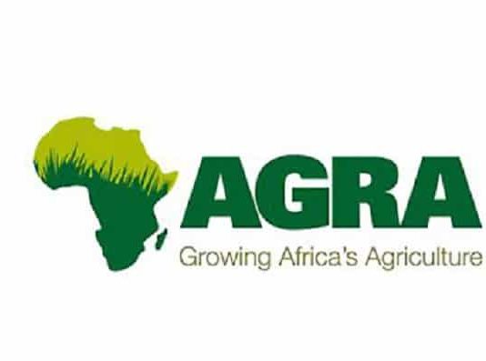Agriculture&Agro-Allied | MSME Africa