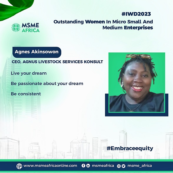 #IWD2023: Celebrating Outstanding Women in Micro Small and Medium ...