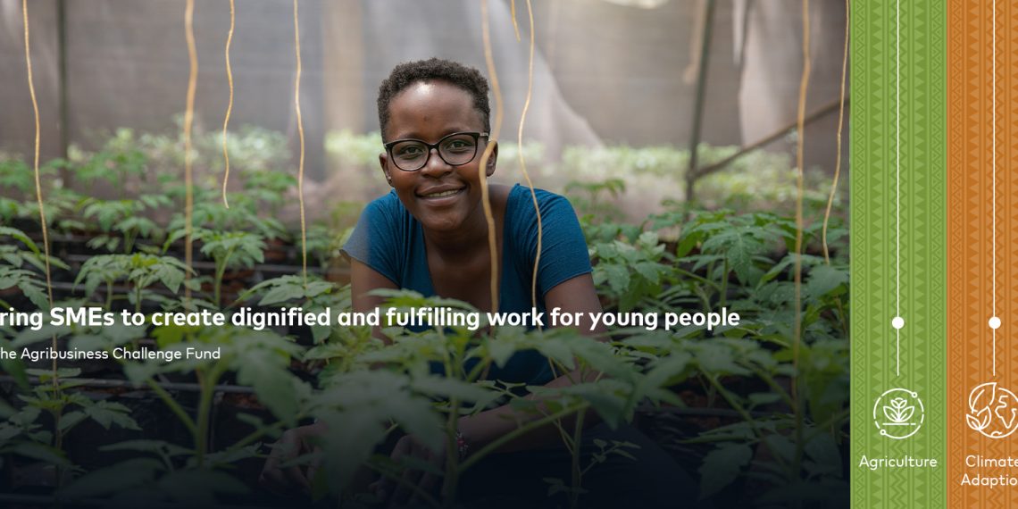 Call For Applications: The Agribusiness Challenge Fund For SMEs in ...