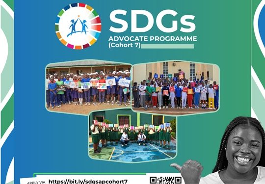 Call for Applications: SDGs Advocate Programme (Cohort 7) - MSME Africa